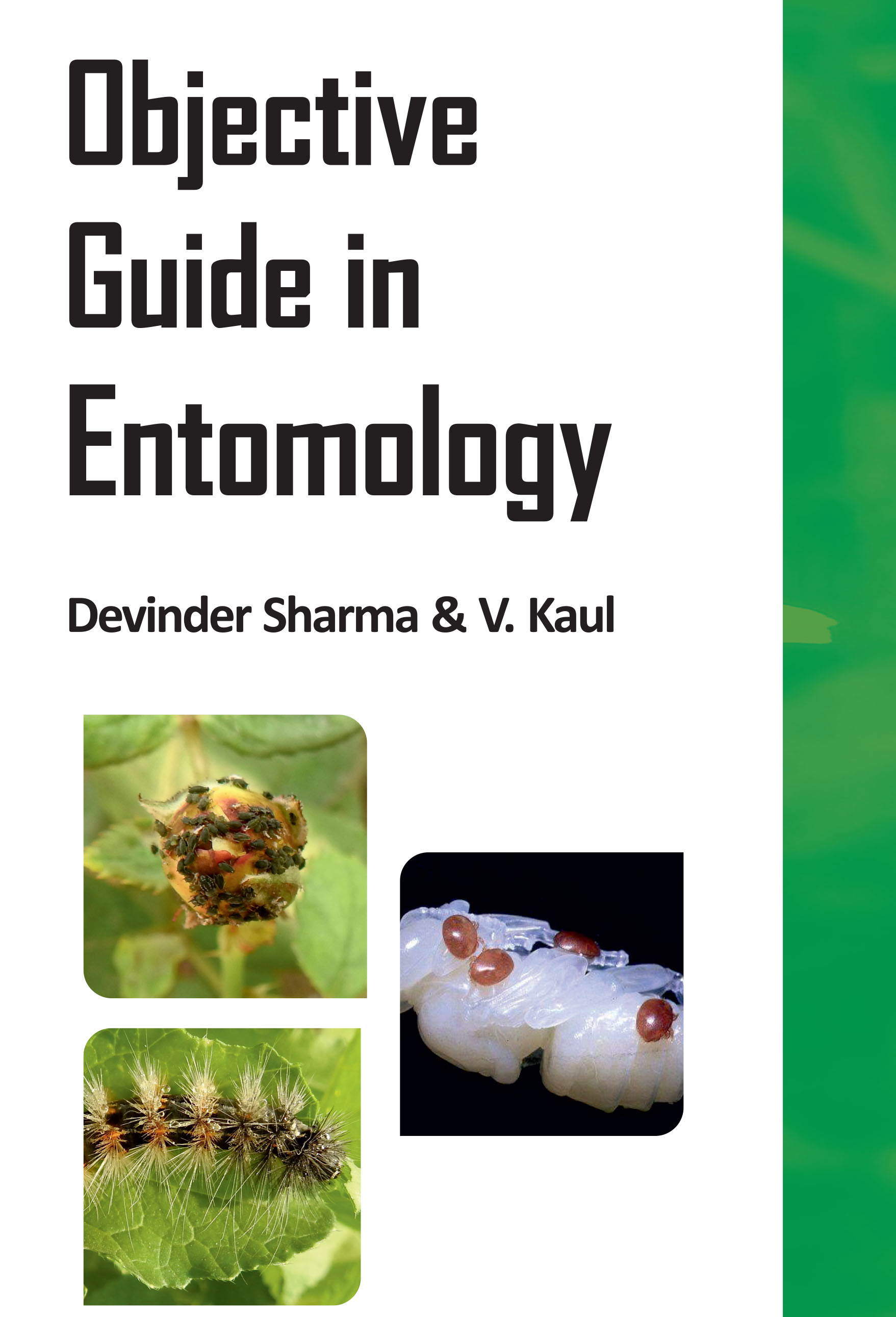 Basic Entomology